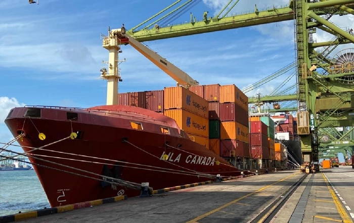 Our Fleet | Bulk, Tanker, Container, & MPP | Lila Global