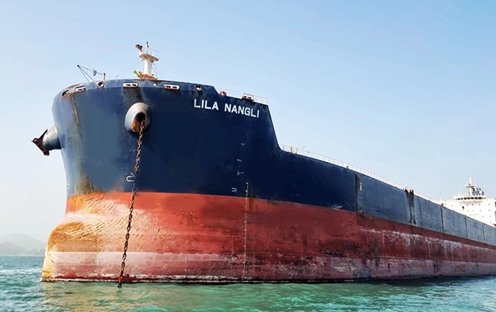 Our Fleet | Bulk, Tanker, Container, & MPP | Lila Global