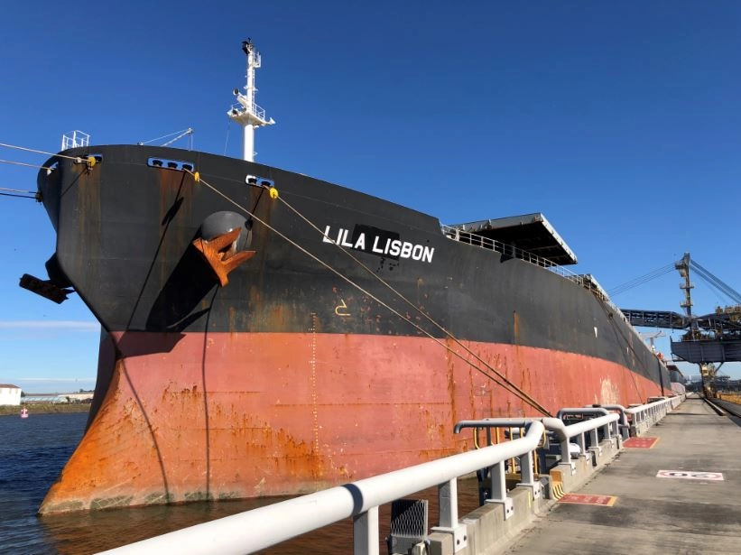 Explore Our Bulk Carrier Ship Fleet | Lila Global