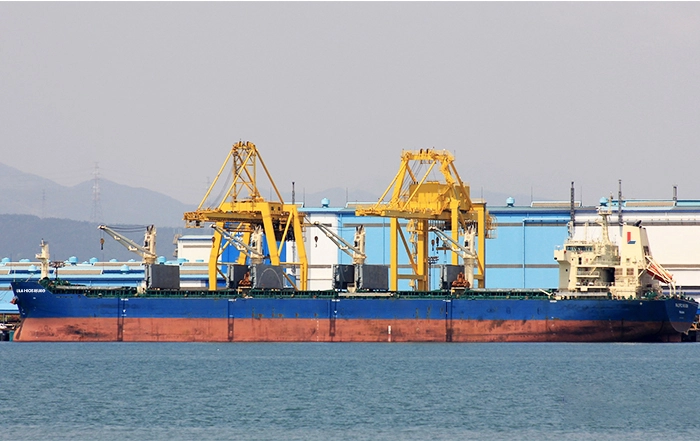 Our Fleet | Bulk, Tanker, Container, & MPP | Lila Global