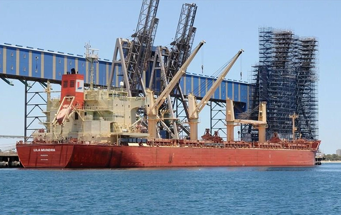 Our Fleet | Bulk, Tanker, Container, & MPP | Lila Global