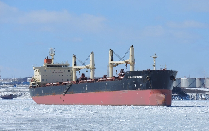 Our Fleet | Bulk, Tanker, Container, & MPP | Lila Global