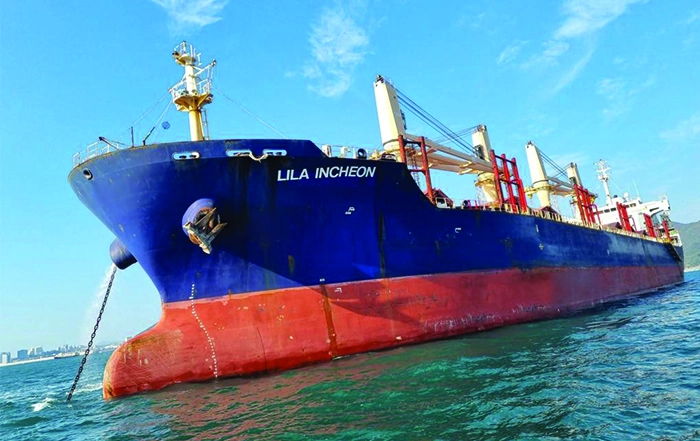 Our Fleet | Bulk, Tanker, Container, & MPP | Lila Global