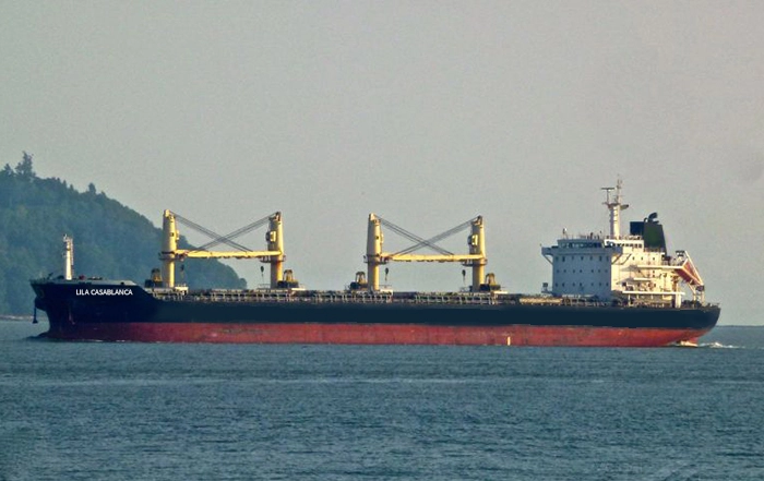 Our Fleet | Bulk, Tanker, Container, & MPP | Lila Global