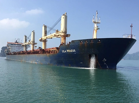 Explore Our Bulk Carrier Ship Fleet | Lila Global