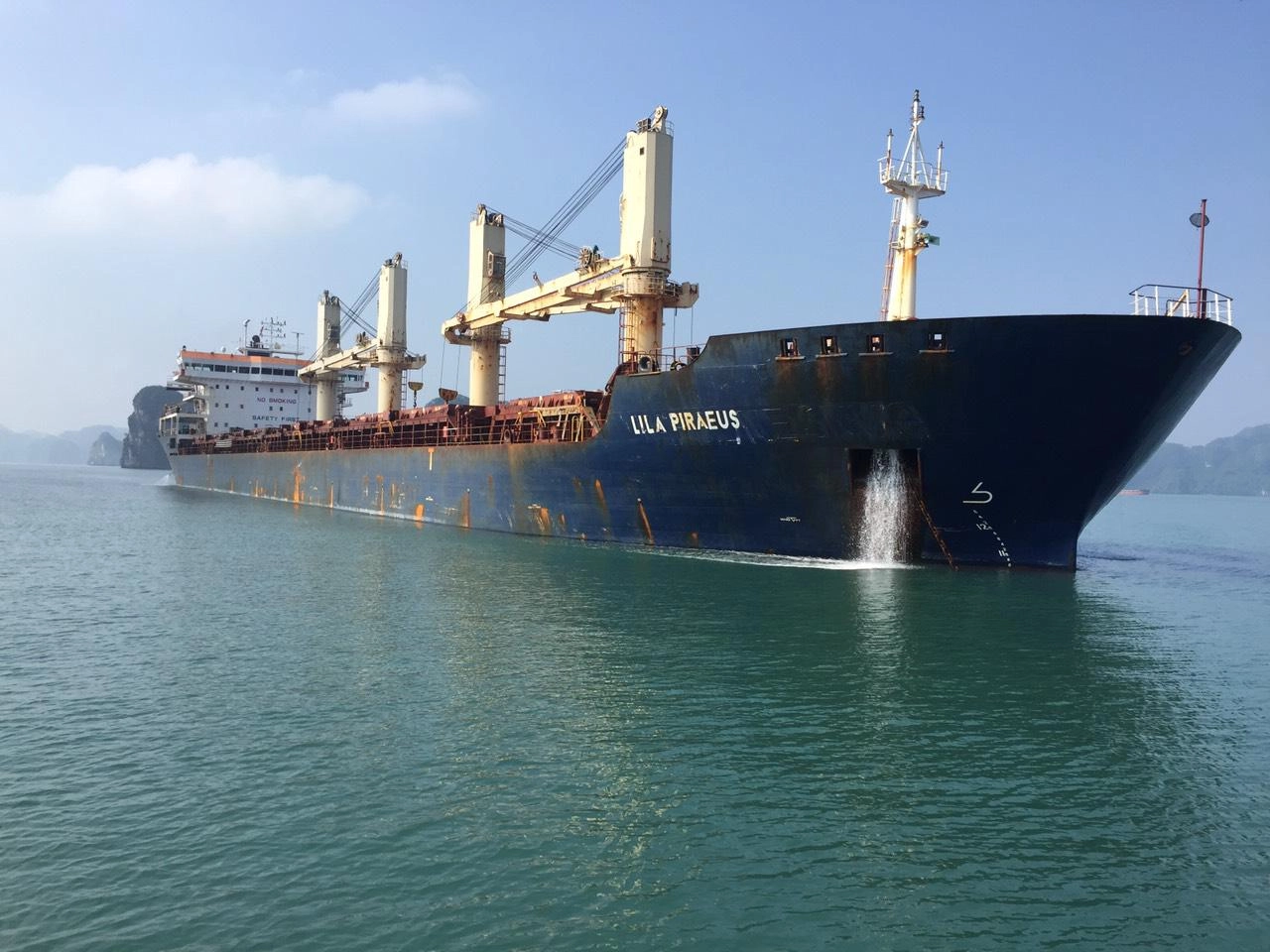 Explore Our Bulk Carrier Ship Fleet | Lila Global