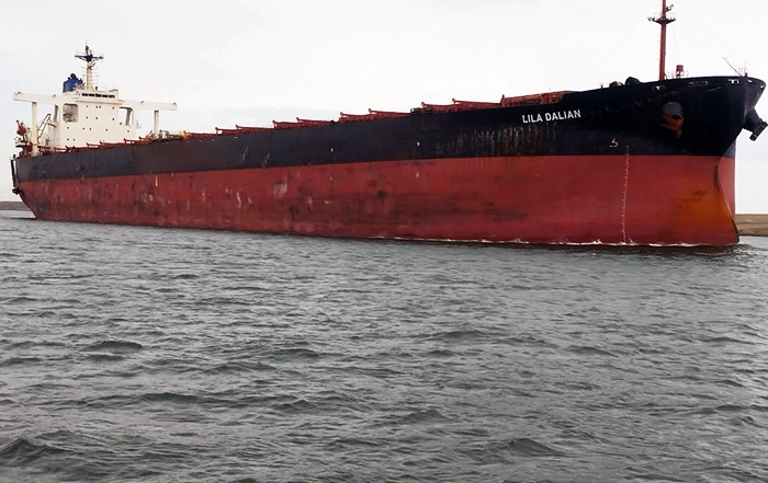 Our Fleet | Bulk, Tanker, Container, & MPP | Lila Global