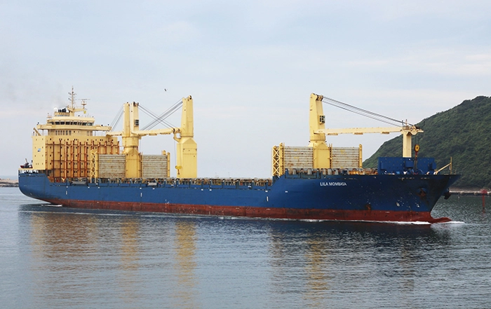 Our Fleet | Bulk, Tanker, Container, & MPP | Lila Global