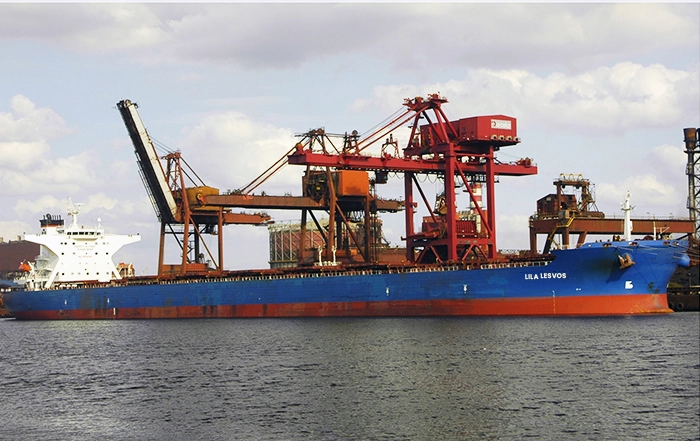 Our Fleet | Bulk, Tanker, Container, & MPP | Lila Global