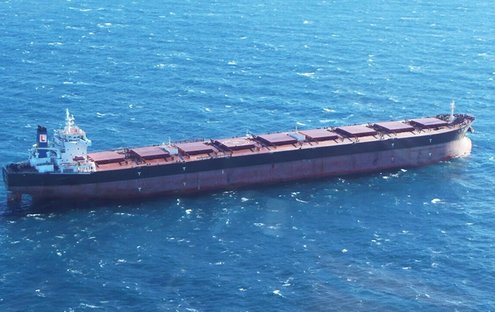 Explore Our Bulk Carrier Ship Fleet | Lila Global