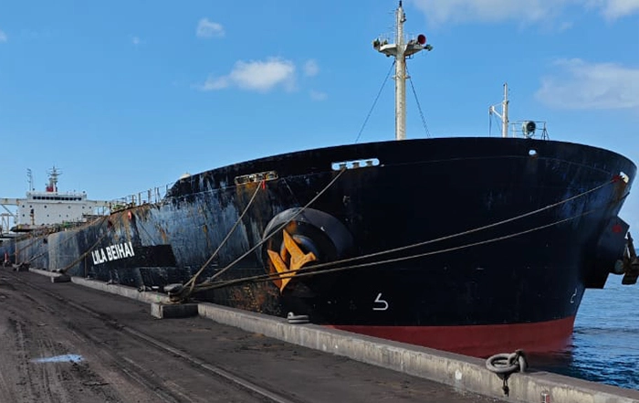 Our Fleet | Bulk, Tanker, Container, & MPP | Lila Global